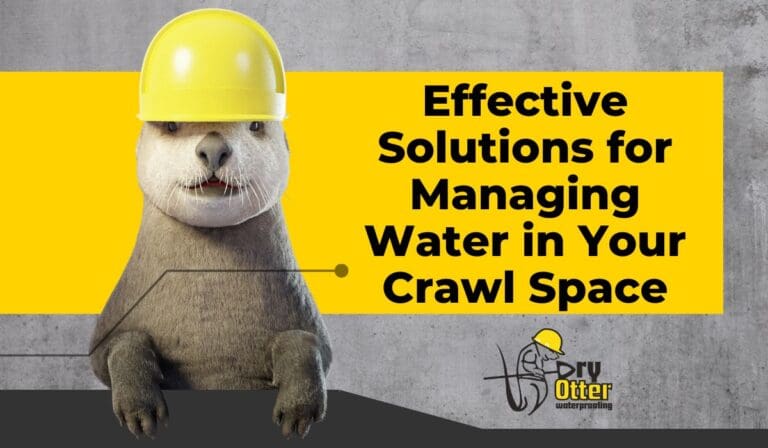 Dry Otter | Crawl Space, Basement & Foundation Repair