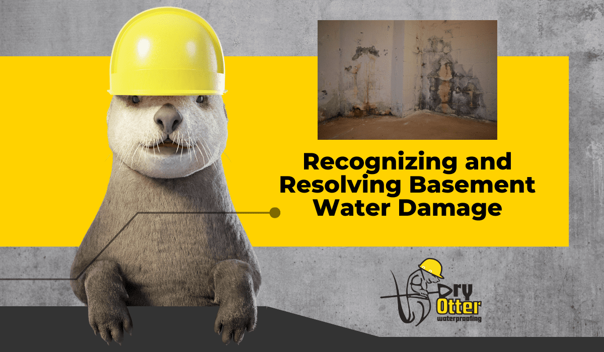 Recognizing and Resolving Basement Water Damage - Dry Otter Waterproofing