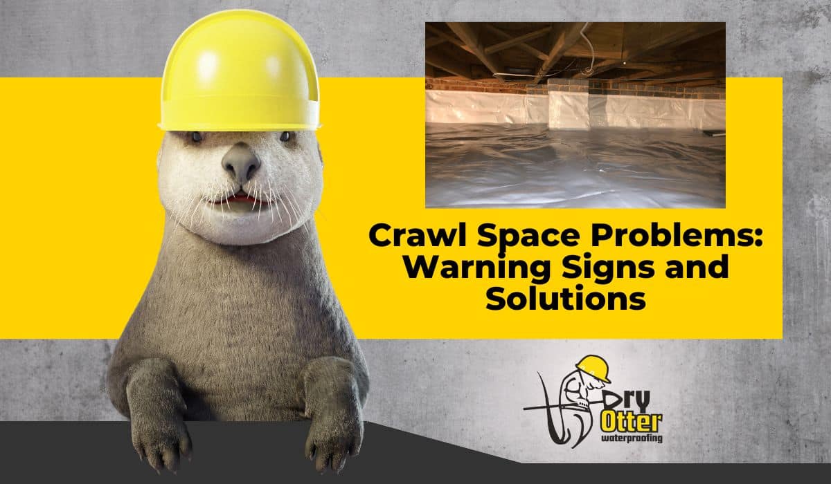 Crawl Space Problems: Warning Signs and Solutions - Dry Otter Waterproofing