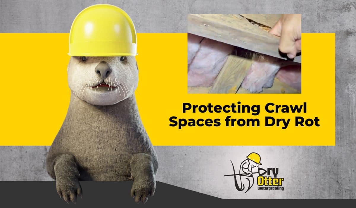 Protecting Crawl Spaces from Dry Rot - Dry Otter Waterproofing