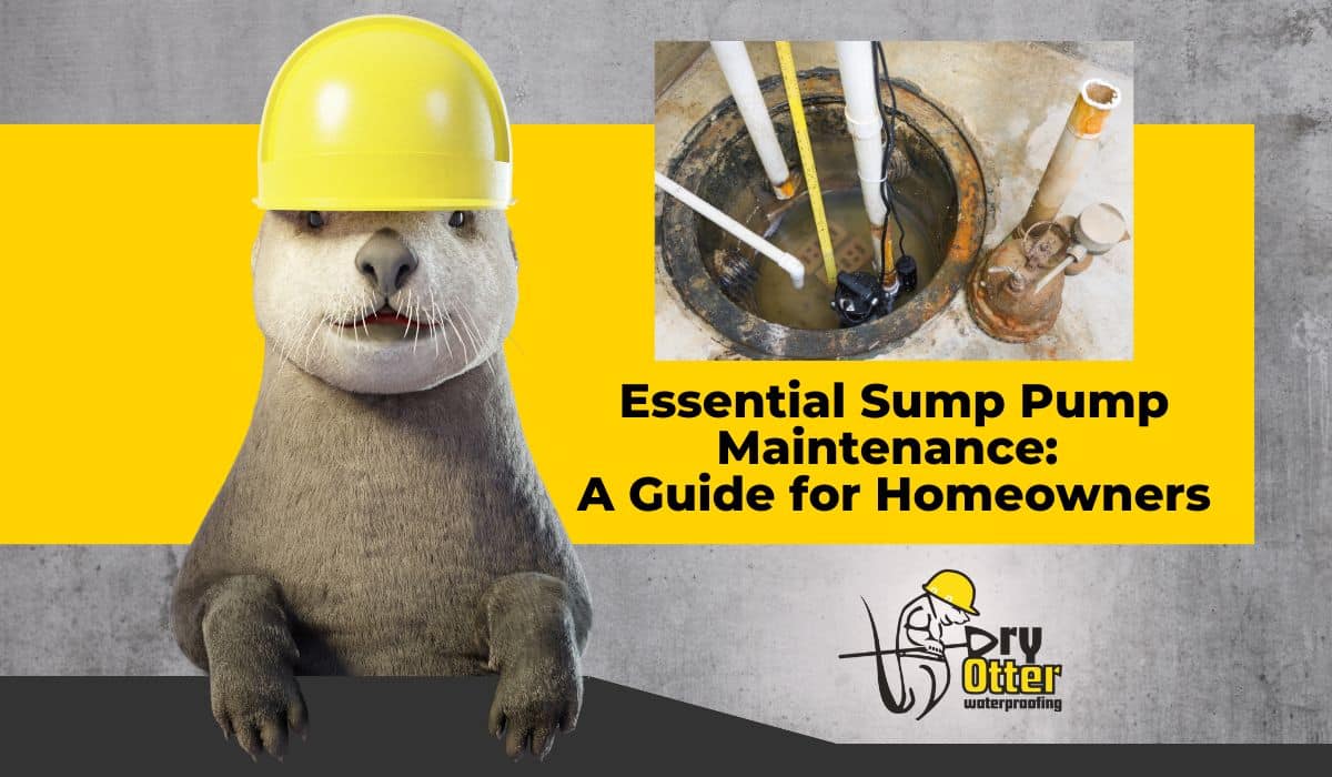 Essential Sump Pump Maintenance: A Guide for Homeowners - Dry Otter ...