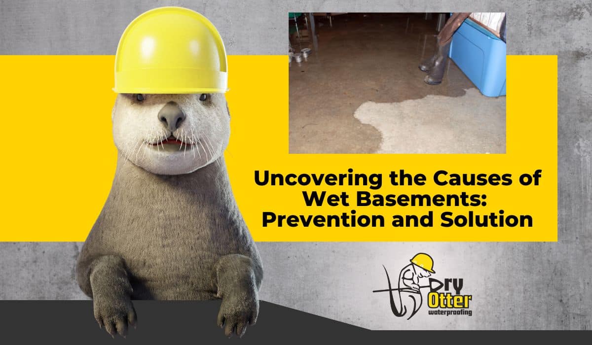 Uncovering the Causes of Wet Basements: Prevention and Solutions - Dry ...