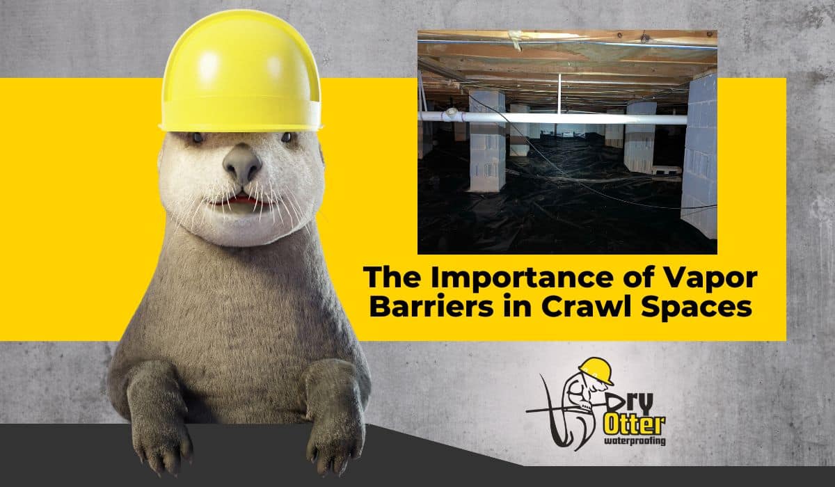 Crawl Space Excavation: Is It Worth It? - Dry Otter Waterproofing