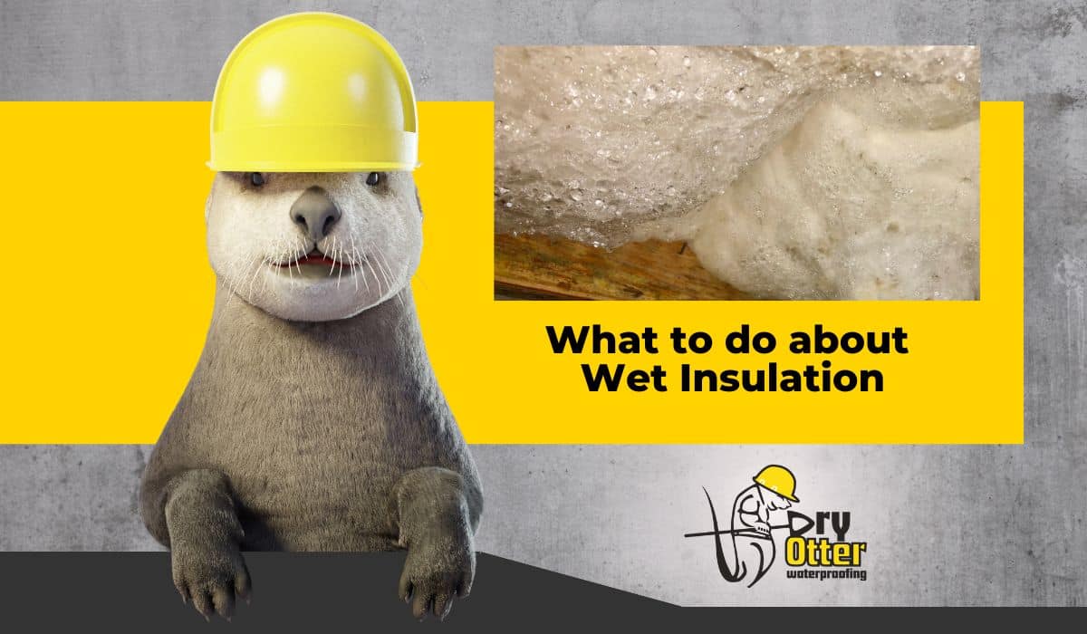 What to Do About Wet Insulation in Your Crawl Space - Dry Otter ...