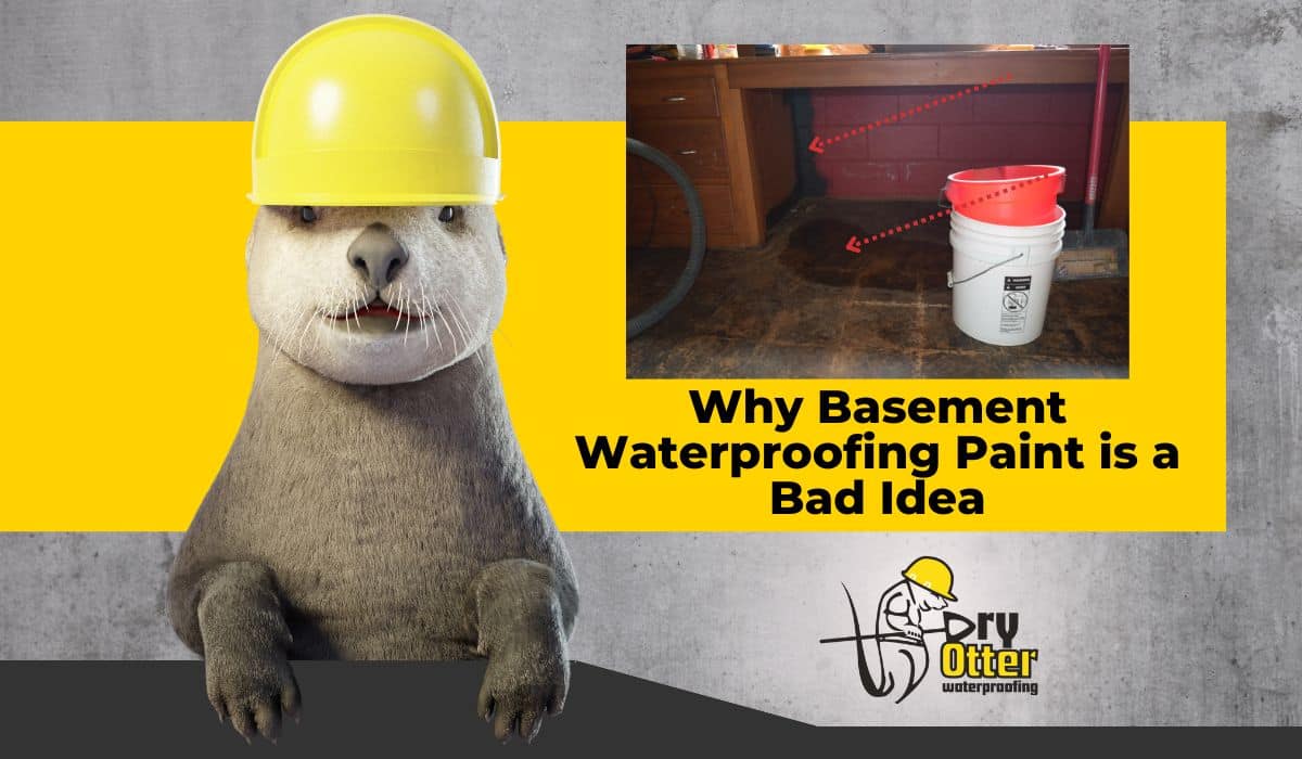 Dry Otter | Crawl Space, Basement & Foundation Repair