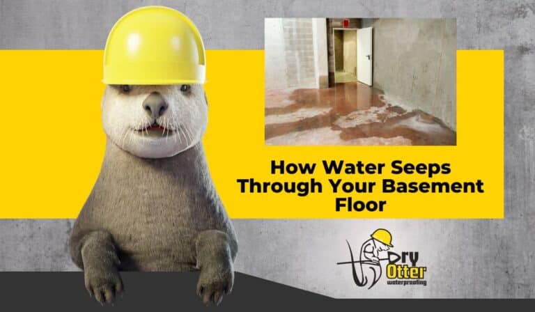 Dry Otter | Crawl Space, Basement & Foundation Repair