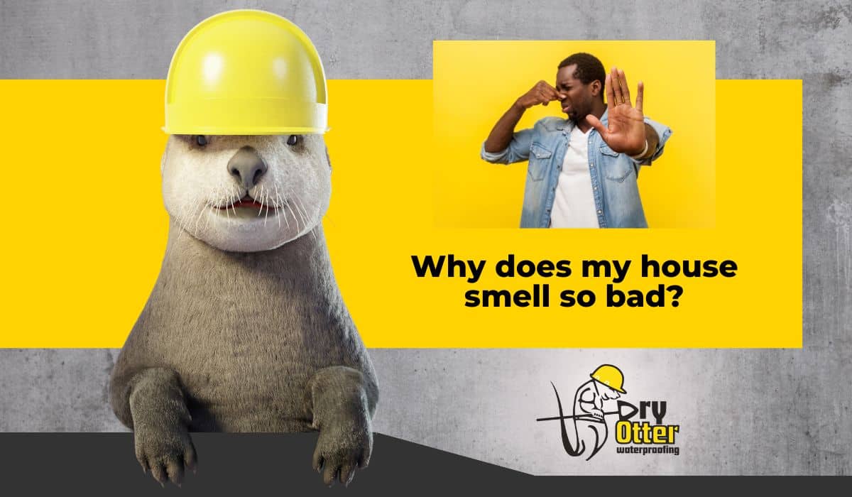 Why Does My House Smell So Bad? - Dry Otter Waterproofing