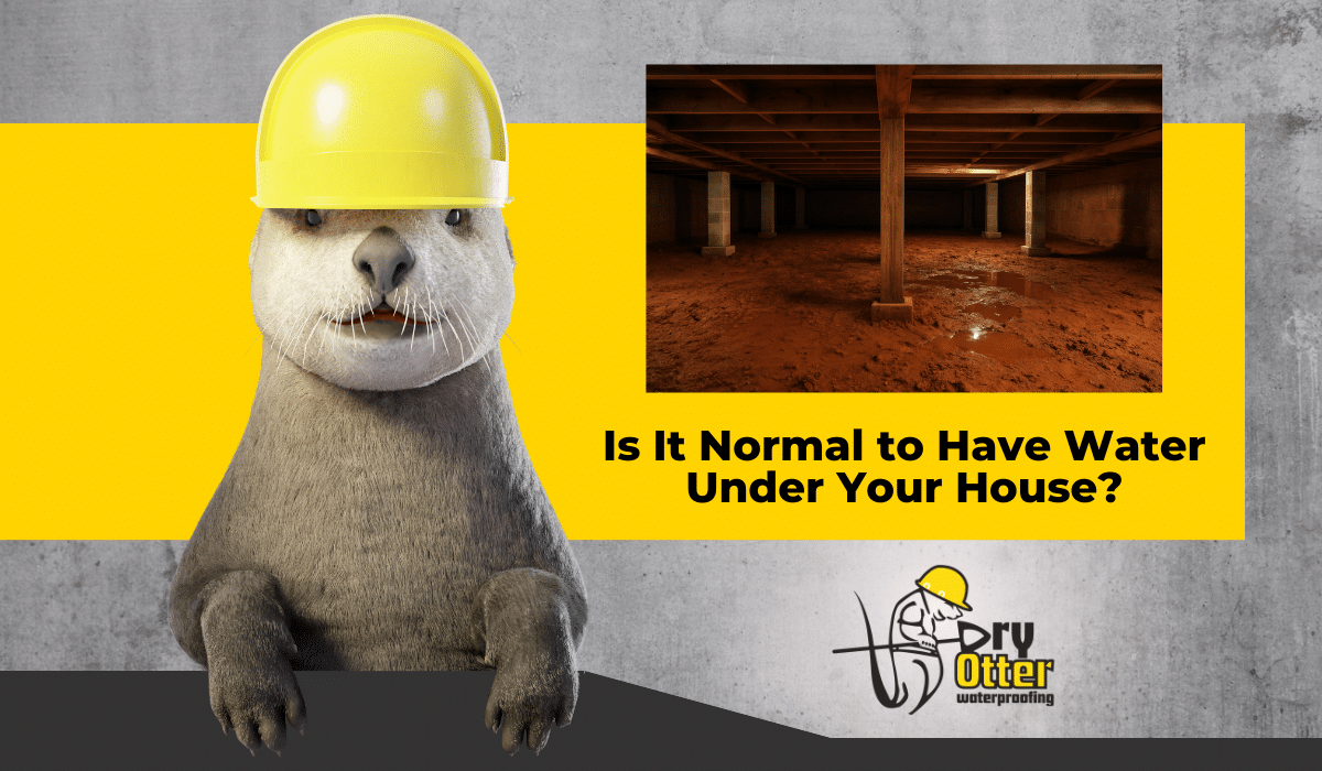 Is It Normal to Have Water Under Your House? - Dry Otter Waterproofing