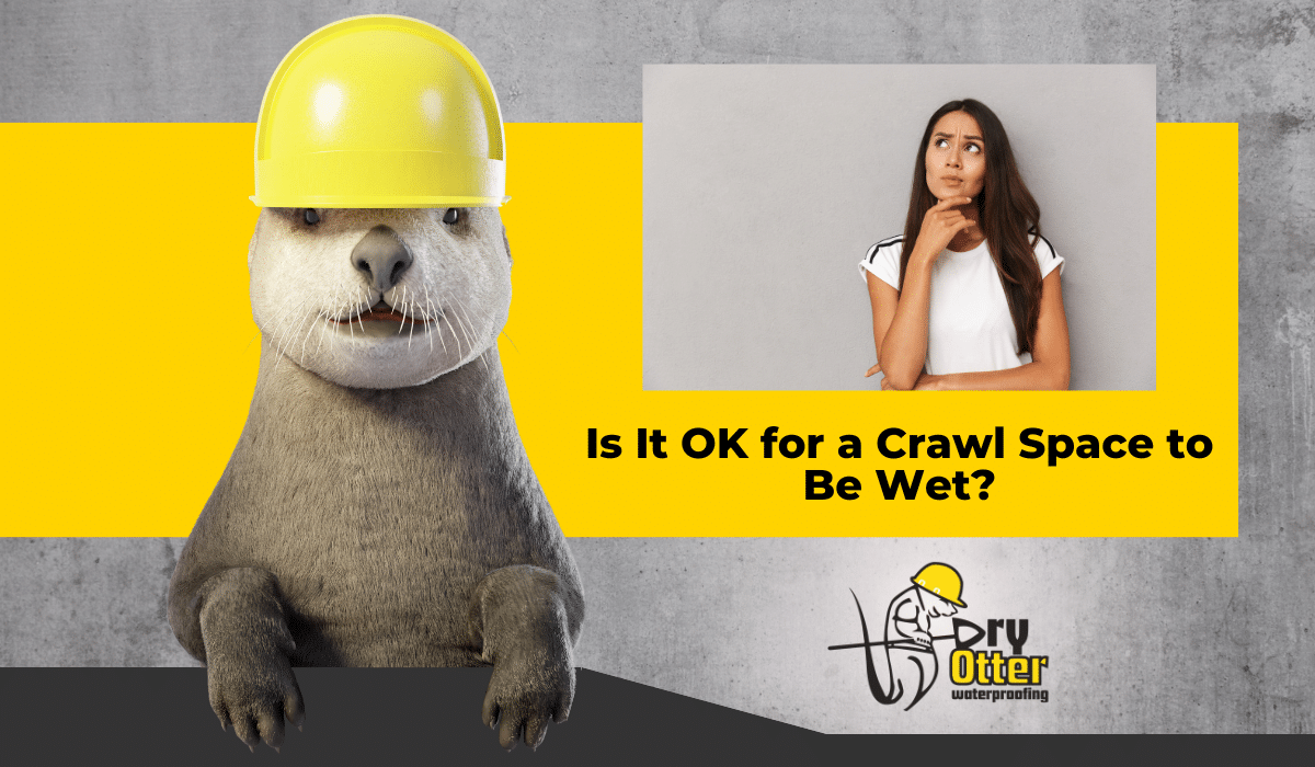Is It OK for a Crawl Space to Be Wet? - Dry Otter Waterproofing