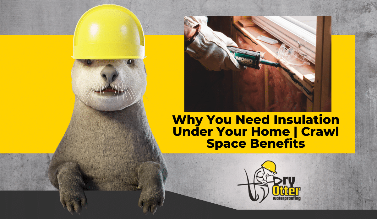 Crawl Space Excavation: Is It Worth It? - Dry Otter Waterproofing